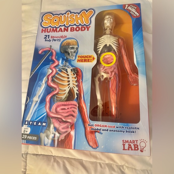 Toys | Smartlab Toys Squishy Human Body Educational Toy New | Poshmark